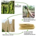 Natural Loofahs Sponge Eco Friendly Loofah Organic Exfoliating Shower