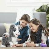 furReal Ricky, the Trick-Lovin' Interactive Plush Pet Toy - Walmart.com