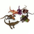 6 Unique Realistic Rubber Lizard Set Toys - Fake Stretchy Rubber ...