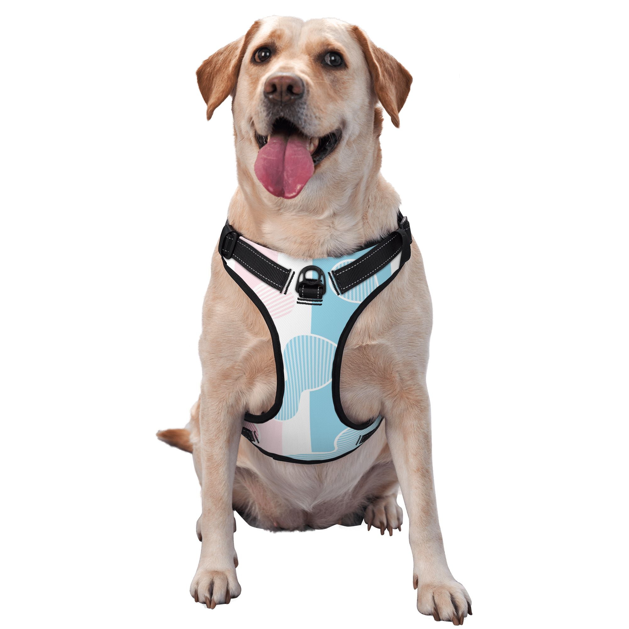 Blue Gourd Stripes Dog Harness, Pet Dog Out to Prevent Break Free Leash ...