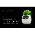 Interactive Plant Pot - maintenance plant assistant, Smart Planter with ...