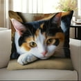 Cat Print Pillow Covers with Vibrant Color Printing for Home Decor ...