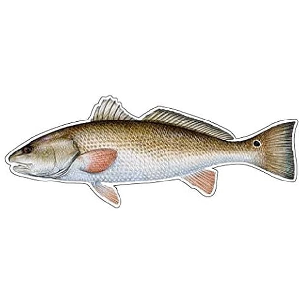 REDFISH -Fish Decal- Red Drum Sticker Truck Fishing - Sticker Graphic ...