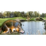 Bird X 3D Coyote Replica, Realistic Natural Brown, Scare Canada Geese ...