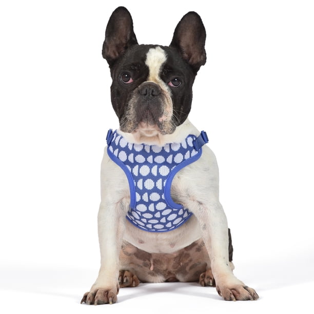 The Dodo Step-in Style Pet Harness, Blue Dodo Print, Small - Walmart.com