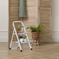 HomGarden 2-Step Steel Ladder, Anti-Slip Wide Pedal, Foldable ...
