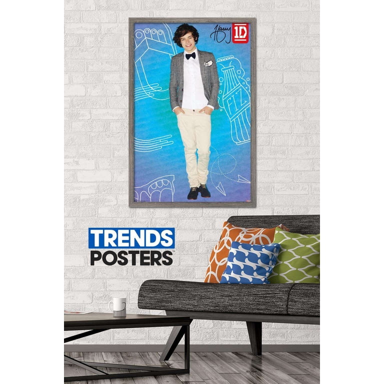 Harry Styles Room