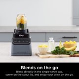 Free Shipping! Ninja Grand Kitchen System 1200 Blender Food Processor ...
