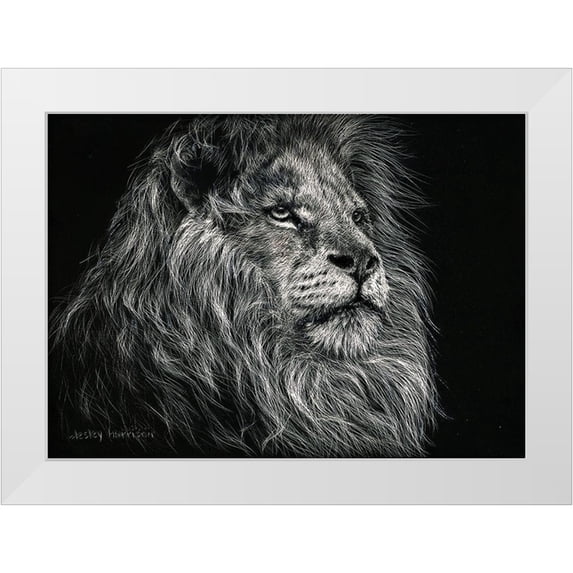 Harrison, Lesley 24x18 White Modern Wood Framed Museum Art Print Titled ...