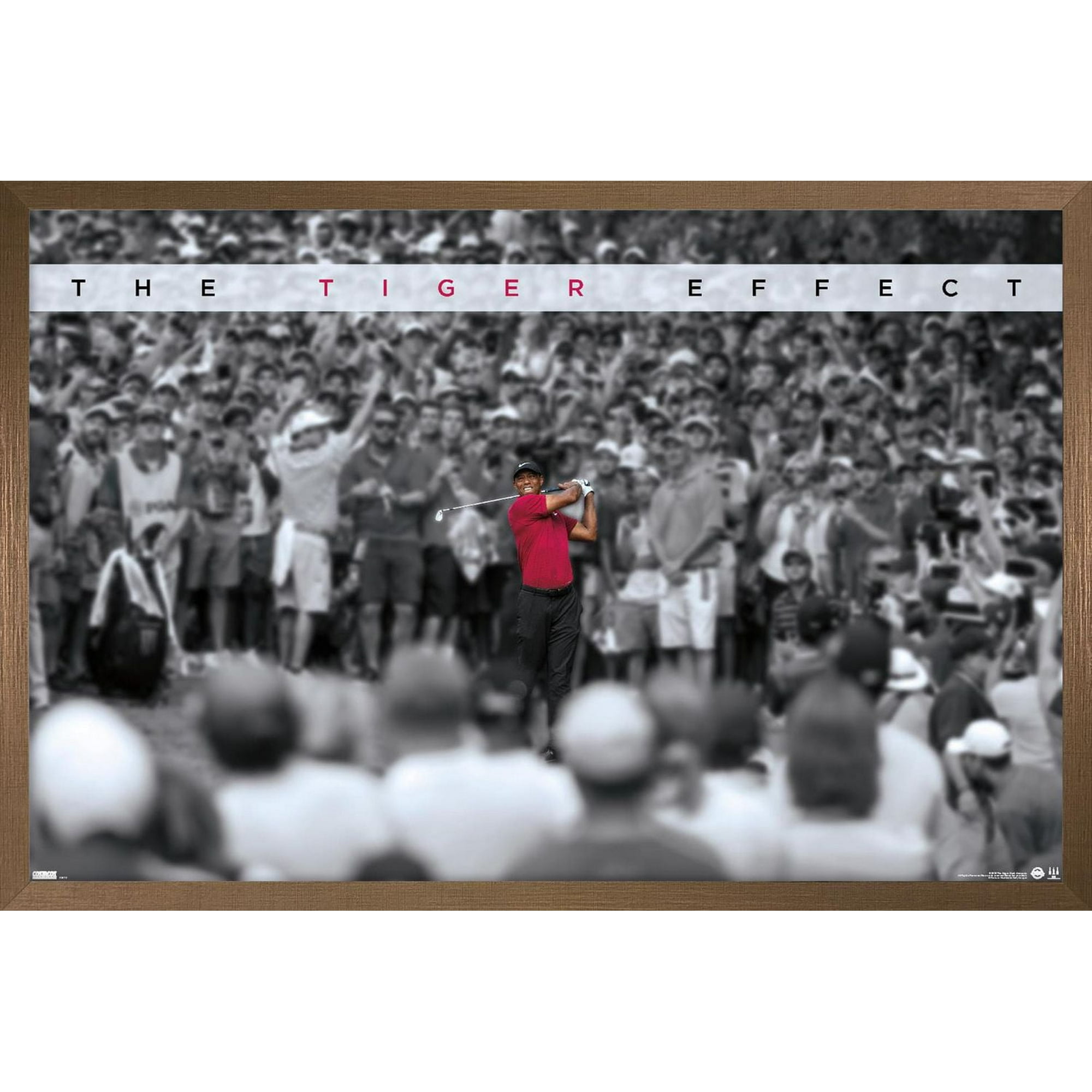 Click here for Trends International Tiger Woods - The Tiger Effec... prices