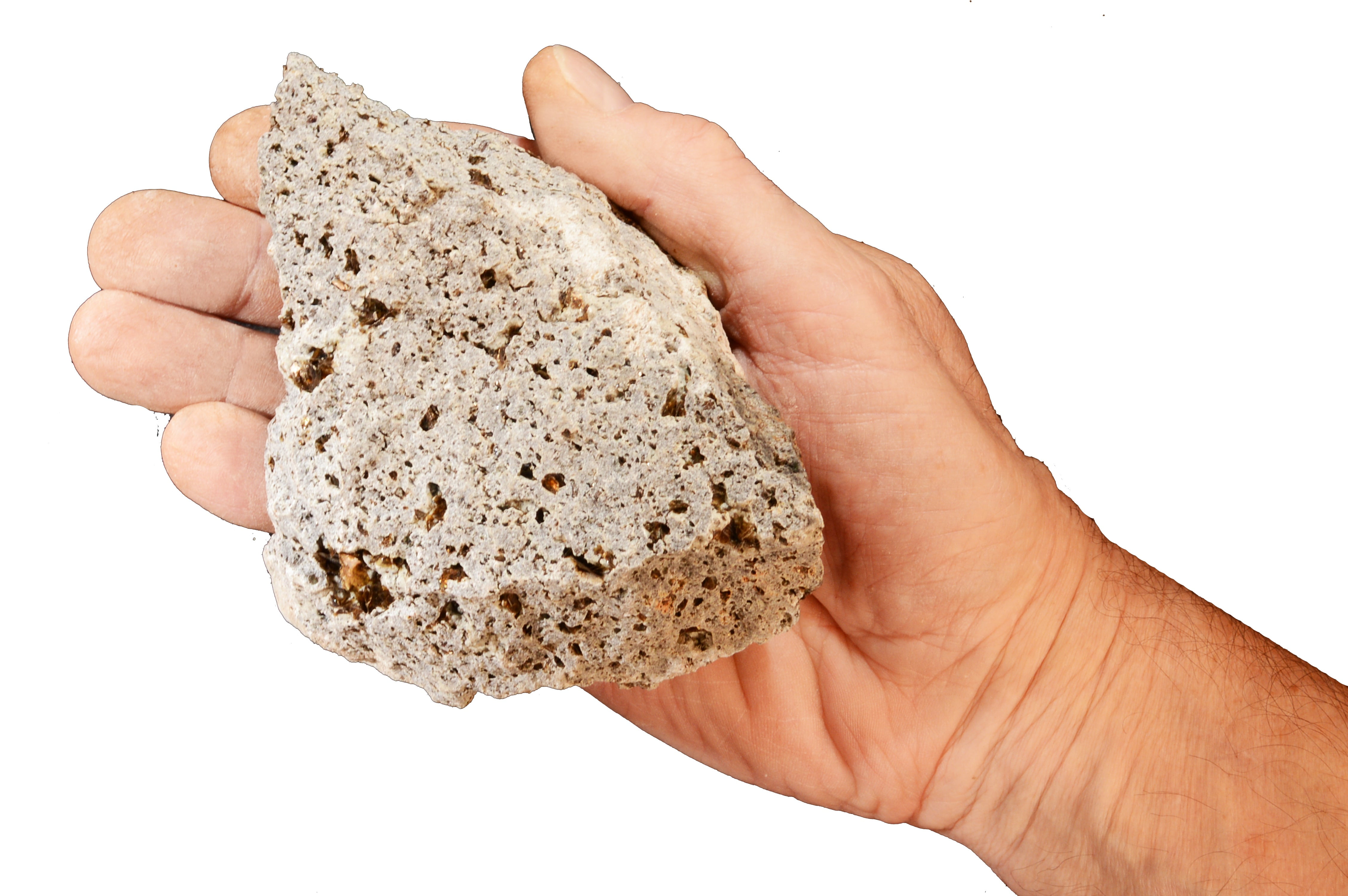 Kidz Rocks Biotite Mica In Andesite 4 1/2" 1 lb -2 lb Raw Chakra ...