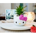 Sanrio Hello Kitty Ceramic Plant Pot with 3-Inch Mini Artificial ...
