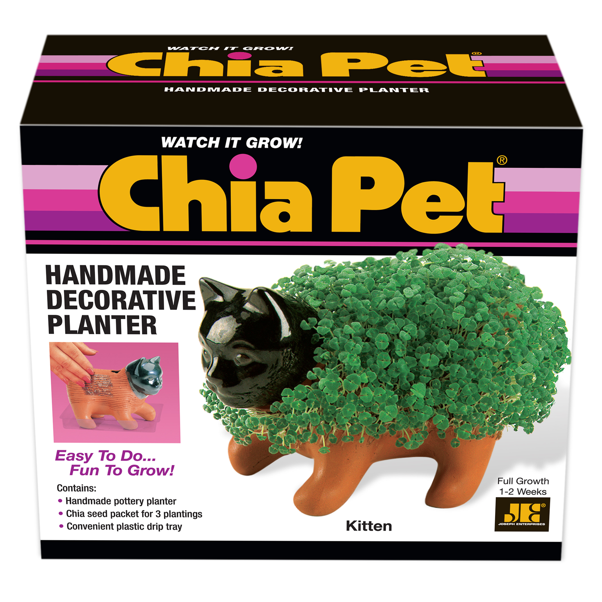 Chia Pet Kitten Decorative Pot Easy To Do Fun To Grow Chia Seeds