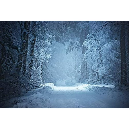 Night Wonderland Snow Backdrop 5x3ft Vinyl Winter Photography Backgroud ...