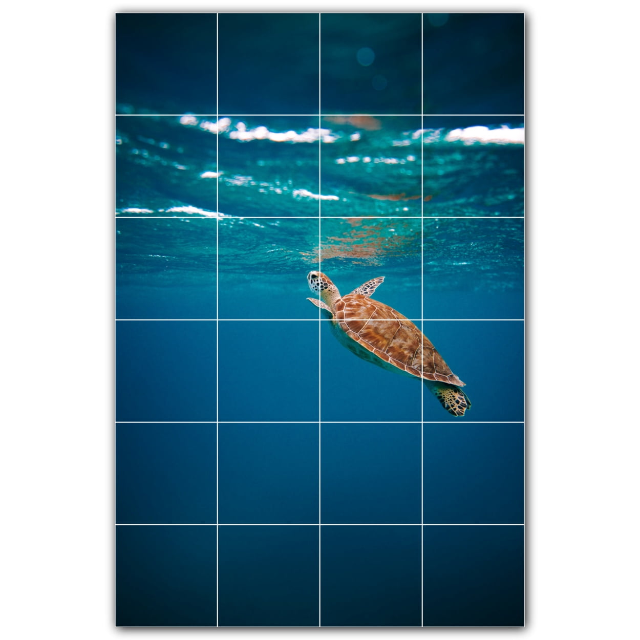 Picture-Tiles.com: Turtle Ceramic Tile Wall Mural WAL501052-46L. 32"W x ...