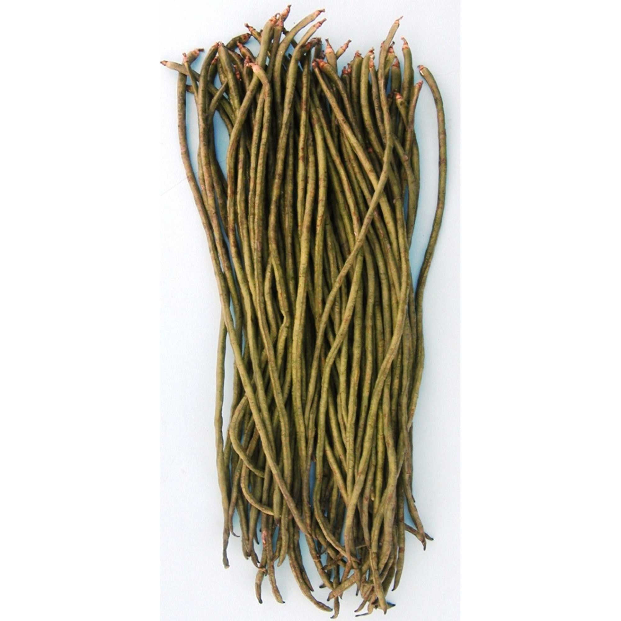 Yard Long Bean - Dark Green - 6 g Packet ~30 Seeds - Non-GMO, Heirloom ...