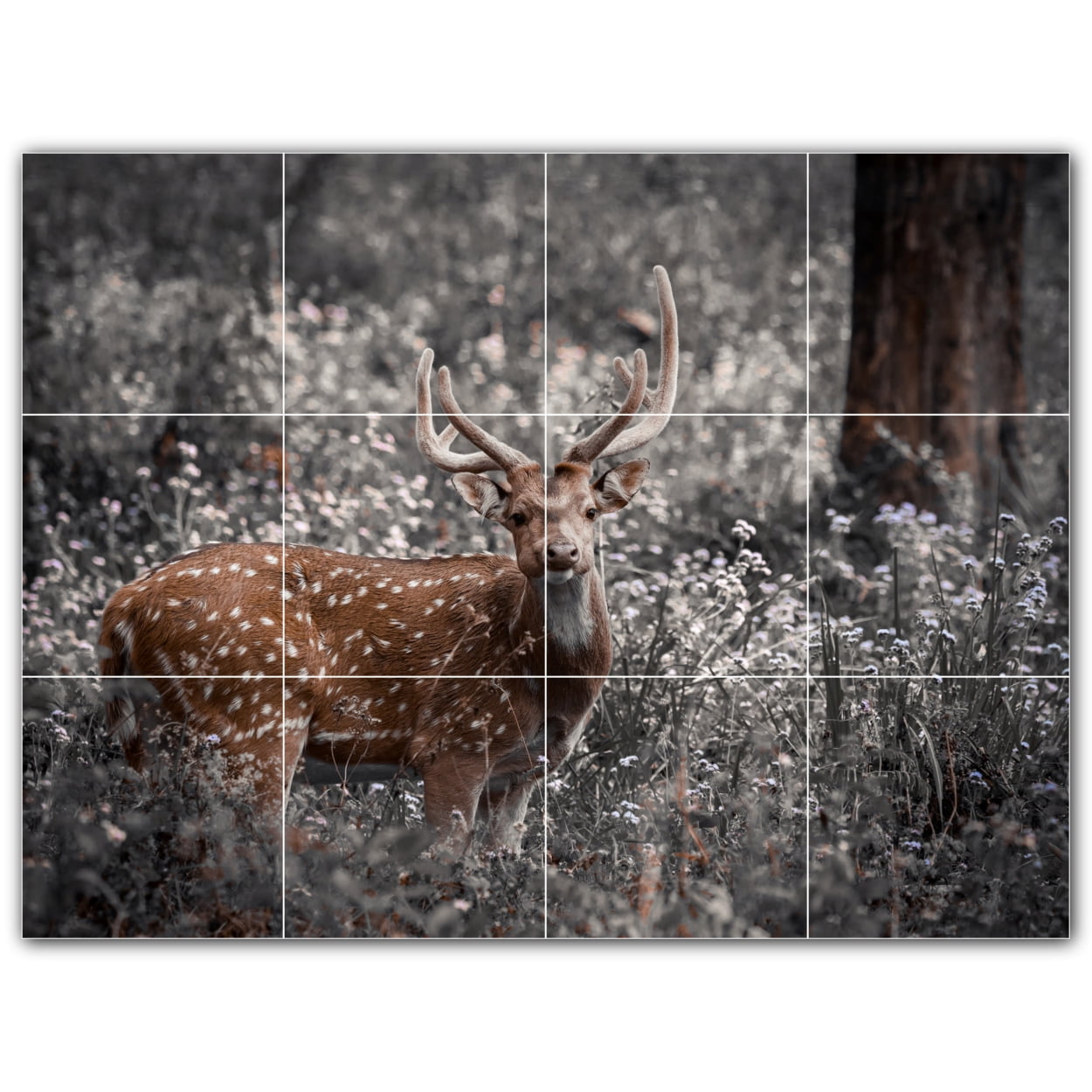 Picture-Tiles.com: Deer Ceramic Tile Wall Mural WAL500443-43S. 17"W x ...
