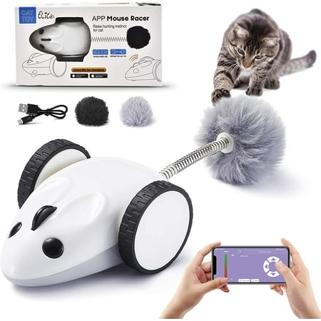 Interactive Robotic Cat Toys,APP Controlled Automatic USB Charging 360 ...