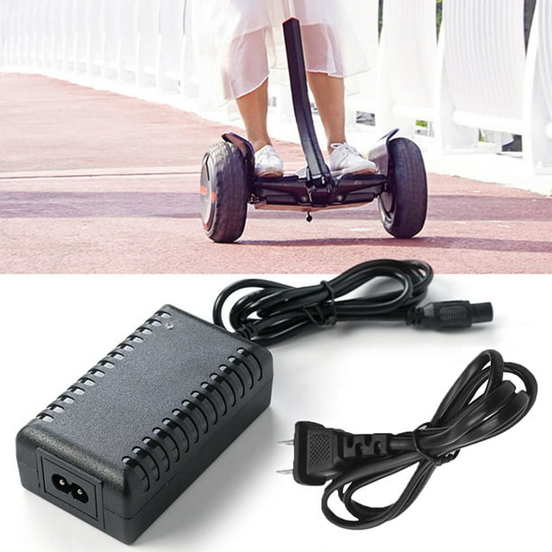 Hoverboard Charger