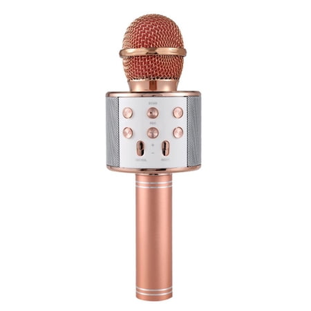 Professional Wireless Microphone Speaker Handheld Microphone Karaoke ...