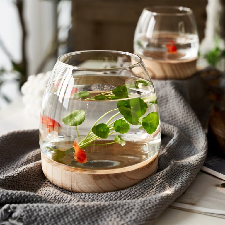 Empty Glass Fish Bowl