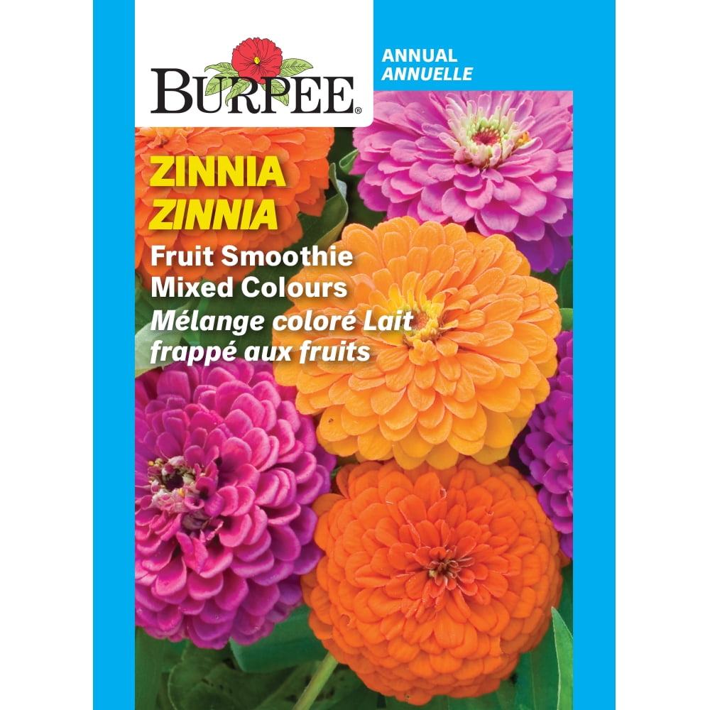 Click here for Burpee Canada Burpee Fruit Smoothie Mixed Colours... prices