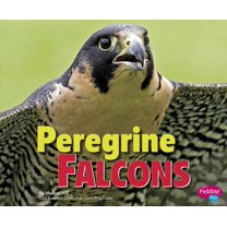 Birds of Prey Peregrine Falcons, (Paperback) - Walmart.com