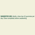 Spring Valley Magnesium Extra Strength Gummies 250mg for Bone and ...