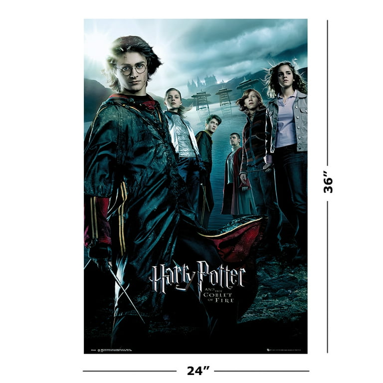 Harry Potter 5 Poster