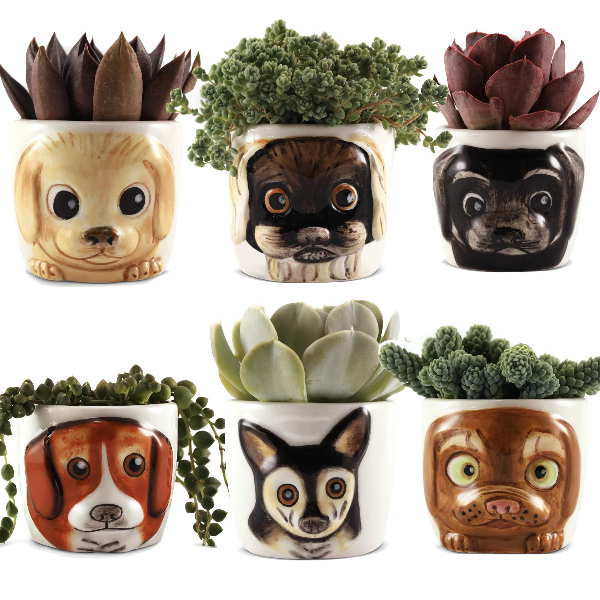 Window Garden Dog Planters Set of 6 - 3D Cute Animal Plant Pot for ...