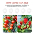 BESTYASH 5Pcs Transparent Fruit Shaping Mold Pc for Garden Use with ...