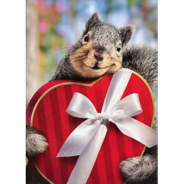 Avanti Press Chipmunks Deliver Pie Funny / Humorous Thanksgiving Card ...