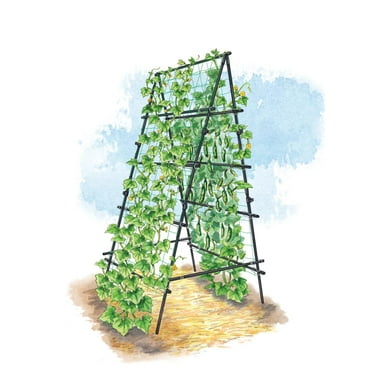 Gardener's Supply Company Titan Teepee 82" Steel Trellis - Walmart.com