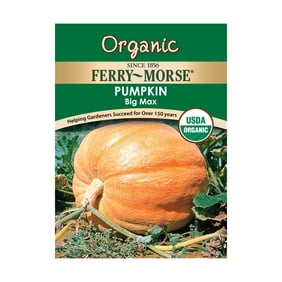 Avon Hybrid Spinach Garden Seeds - 1 Oz - Non-GMO Vegetable Garden ...