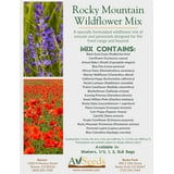 Bloomers 3LB Rocky Mountain Wildflower Mix - 100% Pure Seed, All Season ...