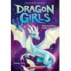 Never Girls Never Girls #1: In a Blink (Disney: The Never Girls), Book ...