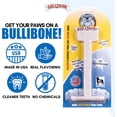 Bullibone, Nylon Bone Dog Chew Toy, Large Bacon, 2 Pack - Walmart.com
