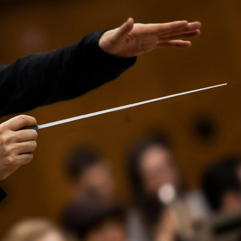 Symphony Conductor Stick