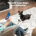 PetSafe SMART DOG Training Collar, Bluetooth Trainer Uses Smartphone as ...
