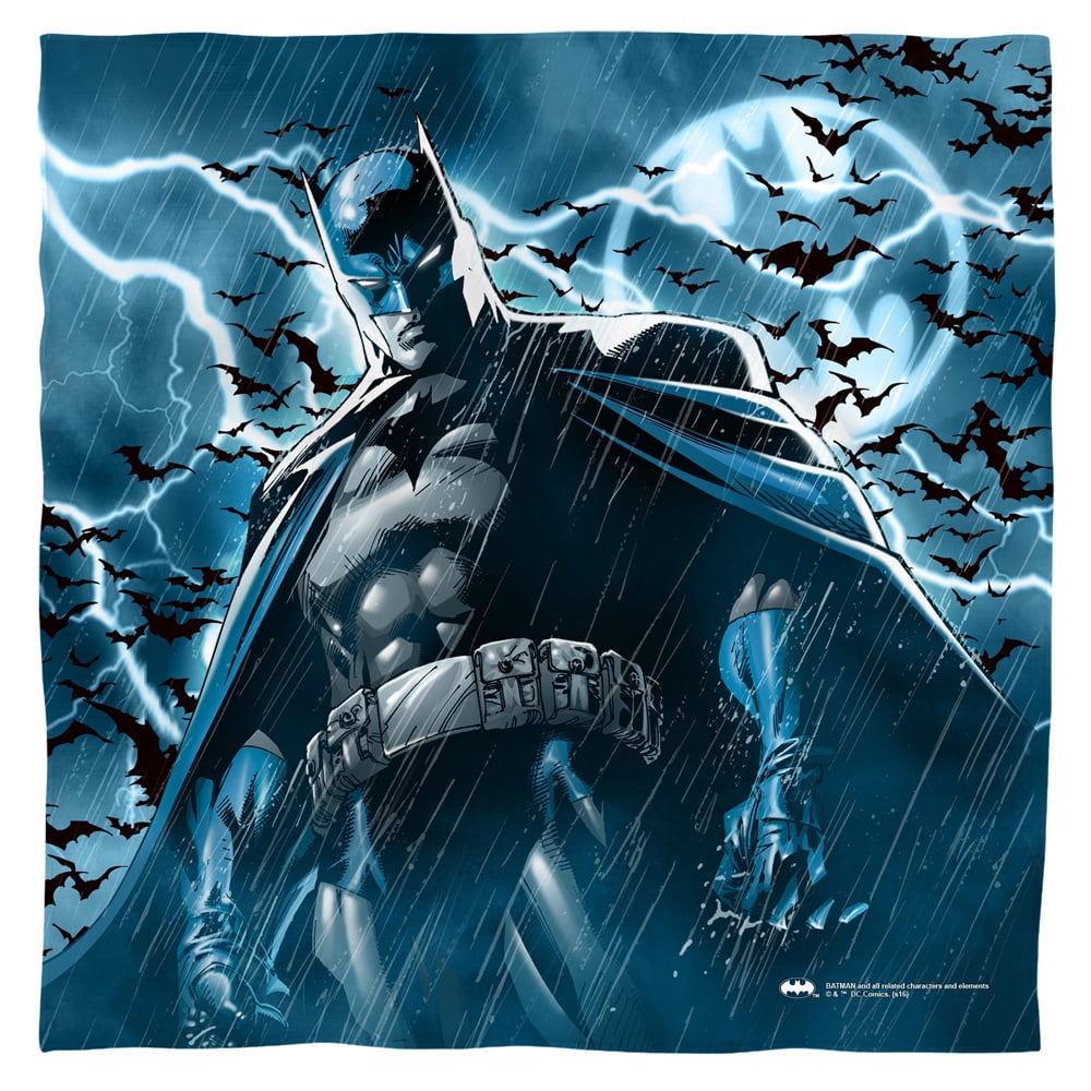 Batman - Stormy Knight - Bandana - 22" x 22" - Walmart.com