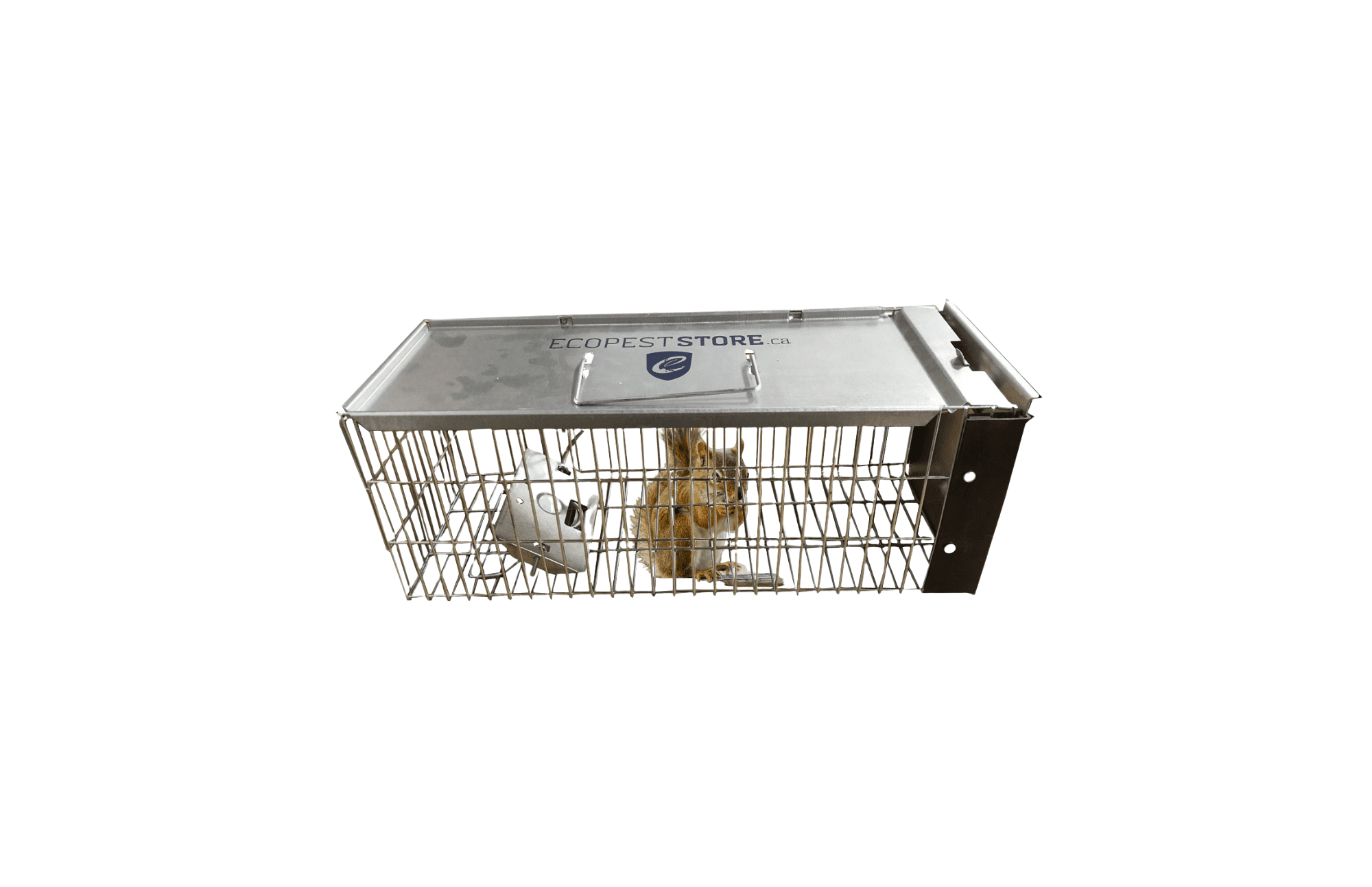 ECOPEST X-Small Professional Style One-Door Animal Trap for Chipmunks ...