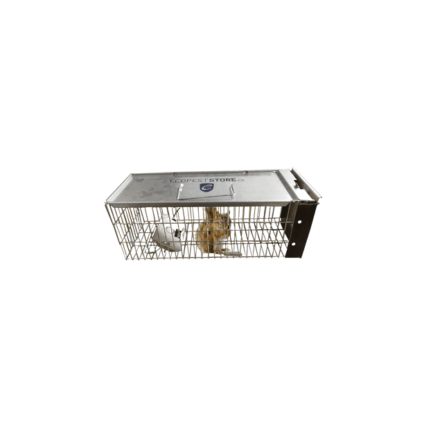 ECOPEST Piège à une Porte X-Small Style Professionnel pour Tamias ...