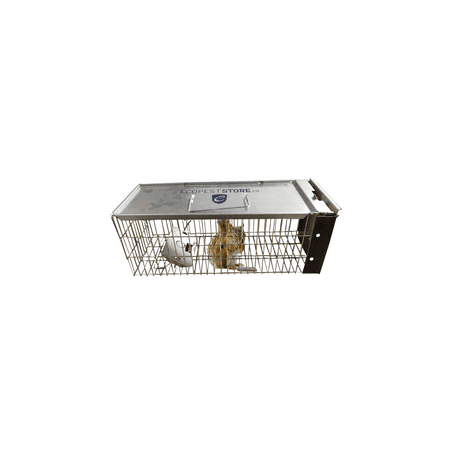 Rat Traps | Walmart Canada