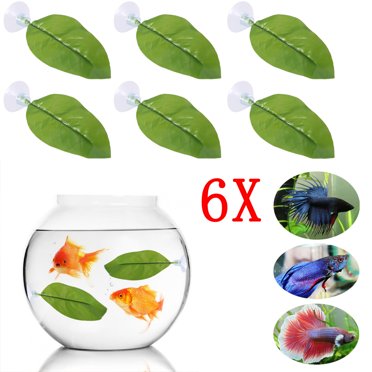 Penn-Plax Breed and Show Fish Tank Enclosure Mounts In Aquarium Fry ...