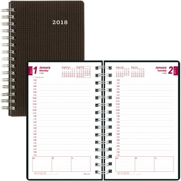 At-A-Glance DayMinder No Appointment Times Daily Planner - Walmart.com