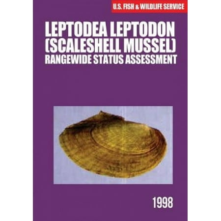 Leptodea leptodon (Scaleshell Mussel) Rangewide Status Assessment ...