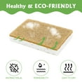 SDOTXA 16 Pack Natural Kitchen Sponges Compostable Cellulose and ...