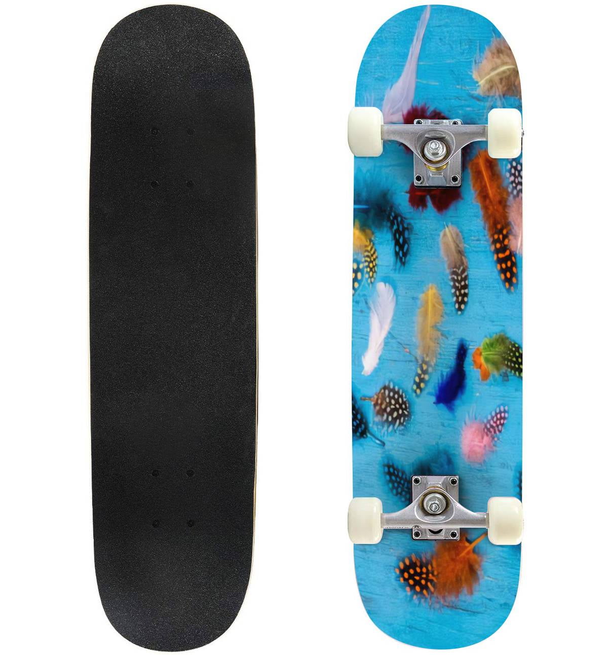 pink feathers stock pictures royalty free photos Outdoor Skateboard ...