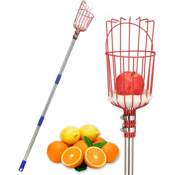 MIYA Fruit Picker Tool- Height Adjustable Fruit Picker with Big - 8 ft ...