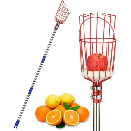 MIYA Fruit Picker Tool- Height Adjustable Fruit Picker with Big - 8 ft ...
